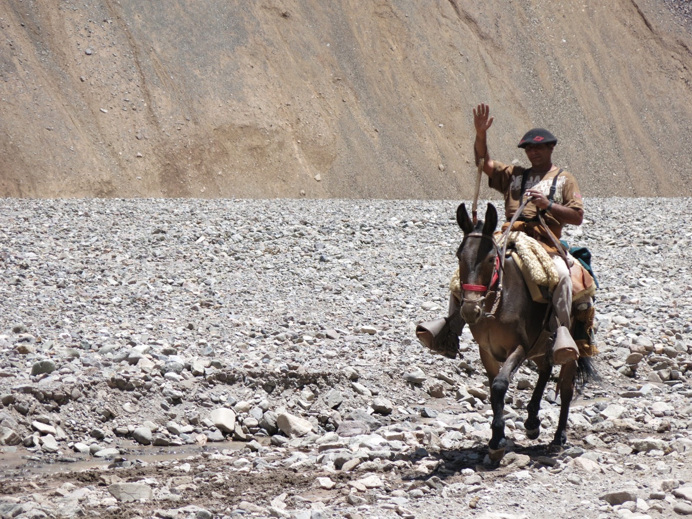 Mule driver on the way to Confluencia - Andes Specialists